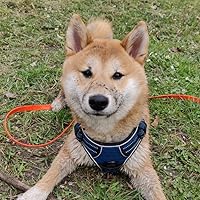 Reign & Ruin (Mages of the Wheel, #1) by J.D. Evans | Goodreads