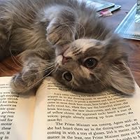 Dead White Writer on the Floor by Drew Hayden Taylor | Goodreads