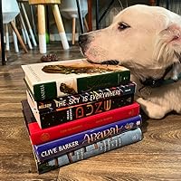 Pretty Little Mistakes (Do-Over, #1) by Heather McElhatton | Goodreads