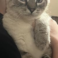 Streams of Living Water: Celebrating the Great Traditions of Christian ...