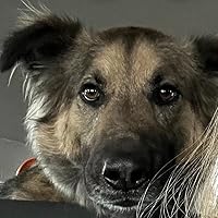 Stolen Girl by Marsha Forchuk Skrypuch | Goodreads