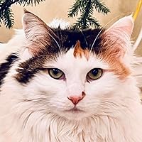 There Will Be Wolves by Karleen Bradford | Goodreads