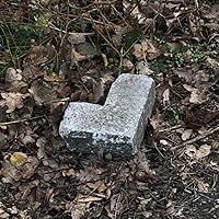 Frankenstein The Graphic Novel by Jason Cobley | Goodreads