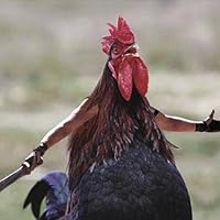 March Battalion by Sven Hassel | Goodreads