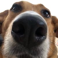 Ruthless Villains (Ruthless Villains, #1) by Marion Blackwood | Goodreads