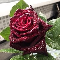 Deceptions by Judith Michael | Goodreads