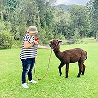 Nanberry: Black Brother White by Jackie French | Goodreads