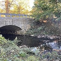 Ted & Me (A Baseball Card Adventure, #11) by Dan Gutman | Goodreads