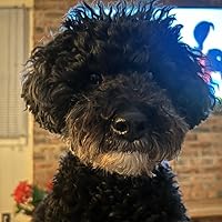 Players in Pigtails by Shana Corey | Goodreads