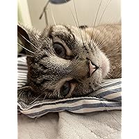 Eagle Against the Sun: The American War with Japan by Ronald H. Spector ...