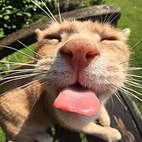 Kaldoras (The Medoran Chronicles, #6) by Lynette Noni | Goodreads