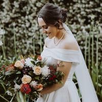 Clash of Empires (Battlesaurus, #2) by Brian Falkner | Goodreads