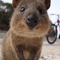 A Waiter in Paris: Adventures in the Dark Heart of the City by Edward ...