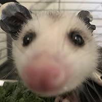 The Transall Saga by Gary Paulsen | Goodreads