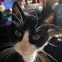 Until They Bring the Streetcars Back by Stanley Gordon West | Goodreads