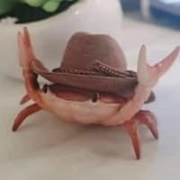 Bite Risk by S.J. Wills | Goodreads