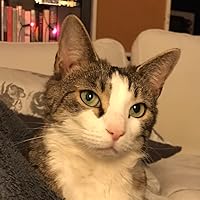 What's That Sound?: An Introduction to Rock and Its History by John ...