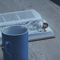 Captured by the Fae Beast by Mallory Dunlin | Goodreads