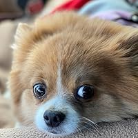 Multidimensional Man by Jurgen Ziewe | Goodreads