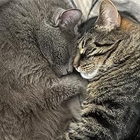 Twisted Ink (Beauty In The Ink, #1) by A.M. McCoy | Goodreads