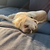 The Education of Augie Merasty: A Residential School Memoir by Joseph ...