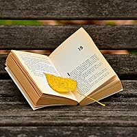 Wizkit: An Adventure Overdue by Tanya J. Scott | Goodreads