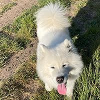 Total: Stories by Rebecca Miller | Goodreads