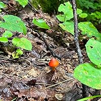 Shock by Robin Cook | Goodreads