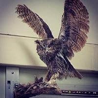 Fugitive from the Cubicle Police (Dilbert #8) by Scott Adams | Goodreads