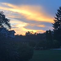 Whack of the P-Rex (The Notebook of Doom, #5) by Troy Cummings | Goodreads