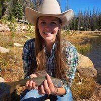 Trailer Park Parable: A Memoir of How Three Brothers Strove to Rise ...