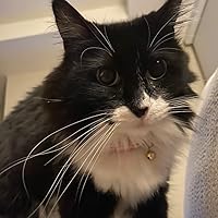 Better Learning Through Structured Teaching: A Framework for the ...