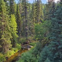 The Mickelson Trail Guide Book by Aleen M Golis | Goodreads