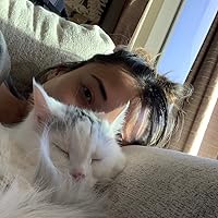 Troublemaker by John Cho | Goodreads