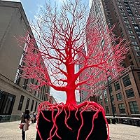 Frightful's Mountain (Mountain, #3) by Jean Craighead George | Goodreads