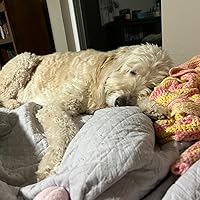 Hero by S.L. Rottman | Goodreads