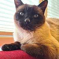 Unfed (Undead, #2) by Kirsty McKay | Goodreads