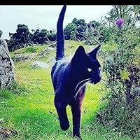 The Witches' Devil: Myth and Lore for Modern Cunning by Roger J. Horne ...