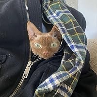 What Makes Us Unique?: Our First Talk About Diversity by Jillian Roberts | Goodreads