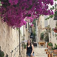 Center of Gravity by Shaunta Grimes | Goodreads