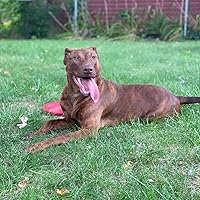 The War Within These Walls by Aline Sax | Goodreads