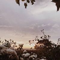 The Way by Cary Groner | Goodreads