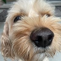 Outside: A Novel by Sean McCammon | Goodreads