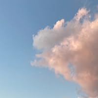 Predatory Natures by Amy Goldsmith | Goodreads