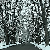 Home to You by Robin Kaye | Goodreads