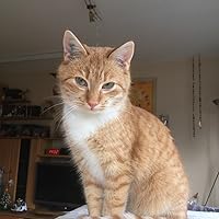 Ivypool’s Heart (Warriors Super Edition, #17) by Erin Hunter | Goodreads