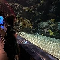 The Van Gogh Cafe by Cynthia Rylant | Goodreads