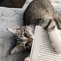 On a Mushroom Day by Chris Baker | Goodreads