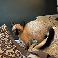 The Rebound by Leeanne Slade | Goodreads