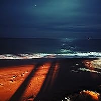 What Shamu Taught Me About Life, Love, and Marriage: Lessons for People ...